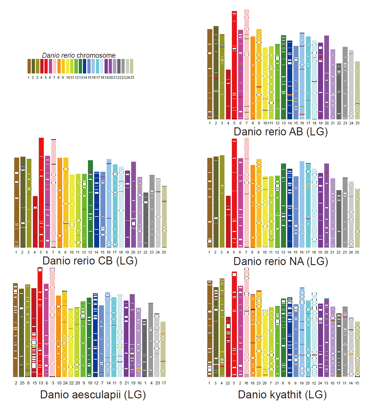 Marine Ecological Genomics Lab – 海洋生态基因组实验室