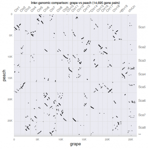利用 MCscan (Python version) 进行染色体可视化分析流程 – Marine Ecological Genomics Lab