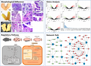 Marine Ecological Genomics Lab – 海洋生态基因组实验室