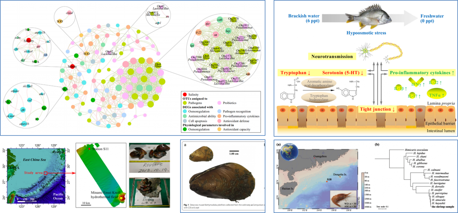 Marine Ecological Genomics Lab – 海洋生态基因组实验室